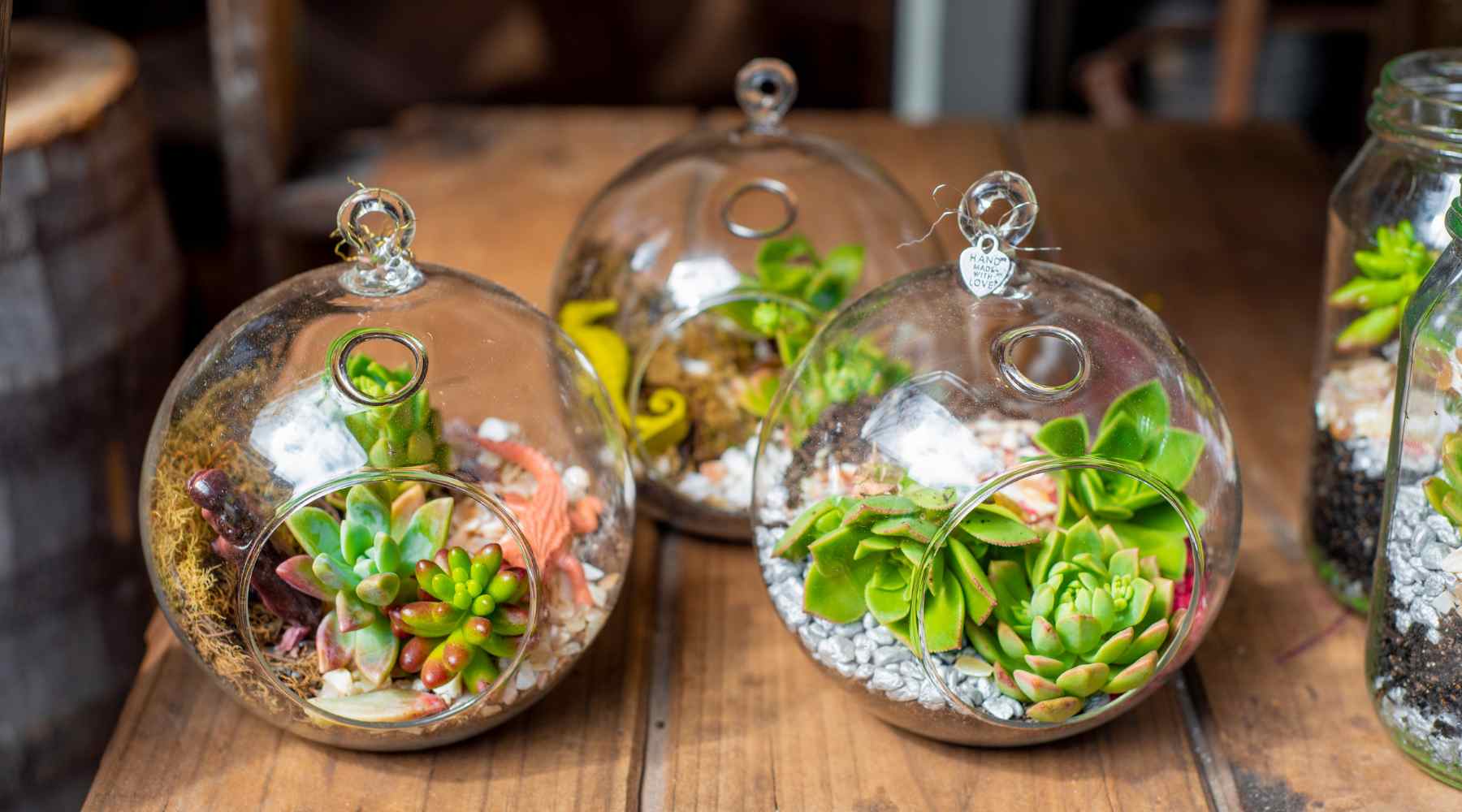 Plant Terrariums Make The Perfect Gift – Here’s Why – BloomBoxClub USA